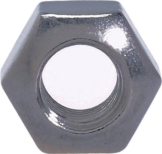 Moer wantspanner linkse draad M10 RVS-316 | bol