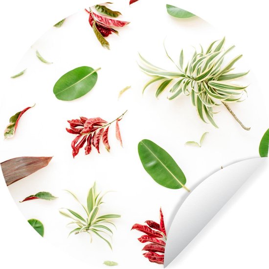 WallCircle - Muurstickers - Behangcirkel - Tropisch - Bladeren - Rood - ⌀ 140 cm -... | bol