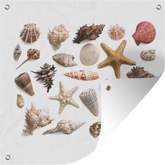 Tuinposters Schelpen - Strand - Kleur - Collage - 50x50 cm - Tuindoek ...