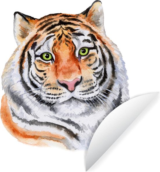 WallCircle - Muurstickers - Behangcirkel - Tijger - Ogen - Groen - 100x100 cm -... | bol