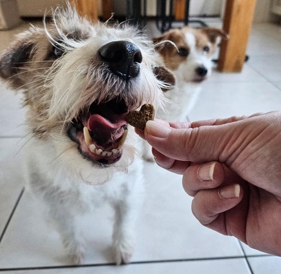 Dogsuppy-Hondensnoepjes- pijn in Heup & Gewrichten -supplement voor ...