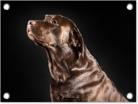 Tuin decoratie Hond - Bruin - Portret - 40x30 cm - Tuindoek ...