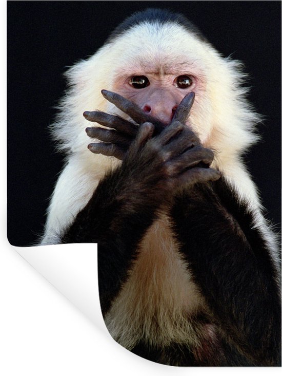 Muurstickers - Sticker Folie - Aap - Wilde dieren - Portret - 120x160 cm - Plakfolie -... | bol