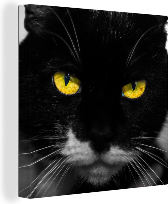 Tableau Peinture sur toile Photo Zwart& blanc de la tête d'un chat noir ...