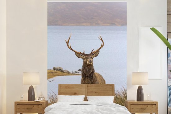 Behang - Fotobehang Hert - Water - Gras - Gewei - Breedte 180 cm x ...