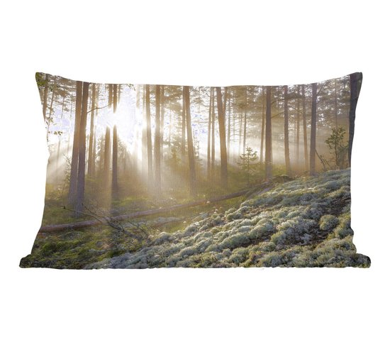 Bos - Boom - Zon | bol.com