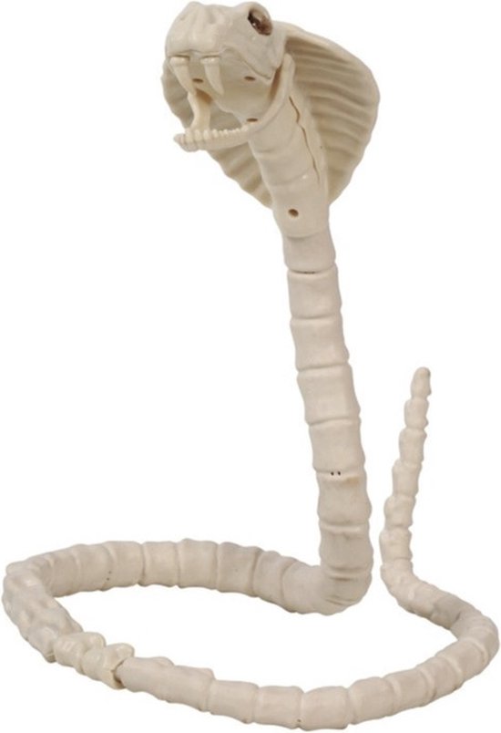 Halloween Slang/cobra skelet - 100 cm - wit - Griezel/horror thema ...
