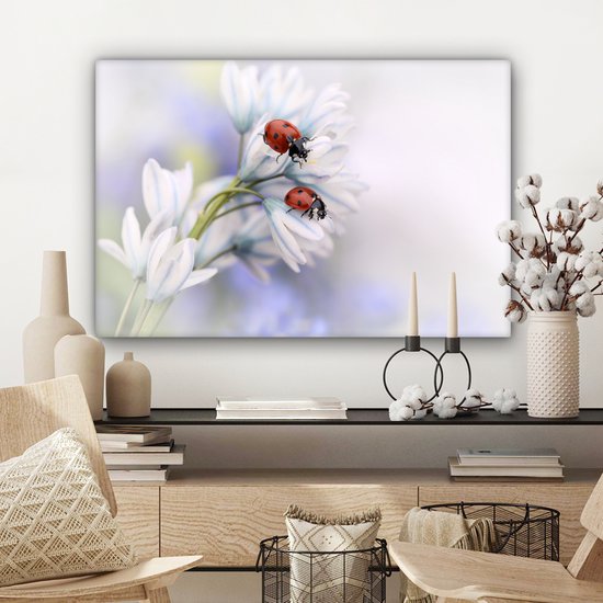 Canvas doek - Foto op canvas - Lieveheersbeestjes - Bloemen - Dieren ...