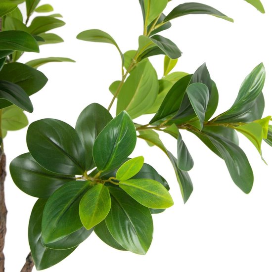 Decoratieve plant Groen PVC 145 cm Peperomia | bol