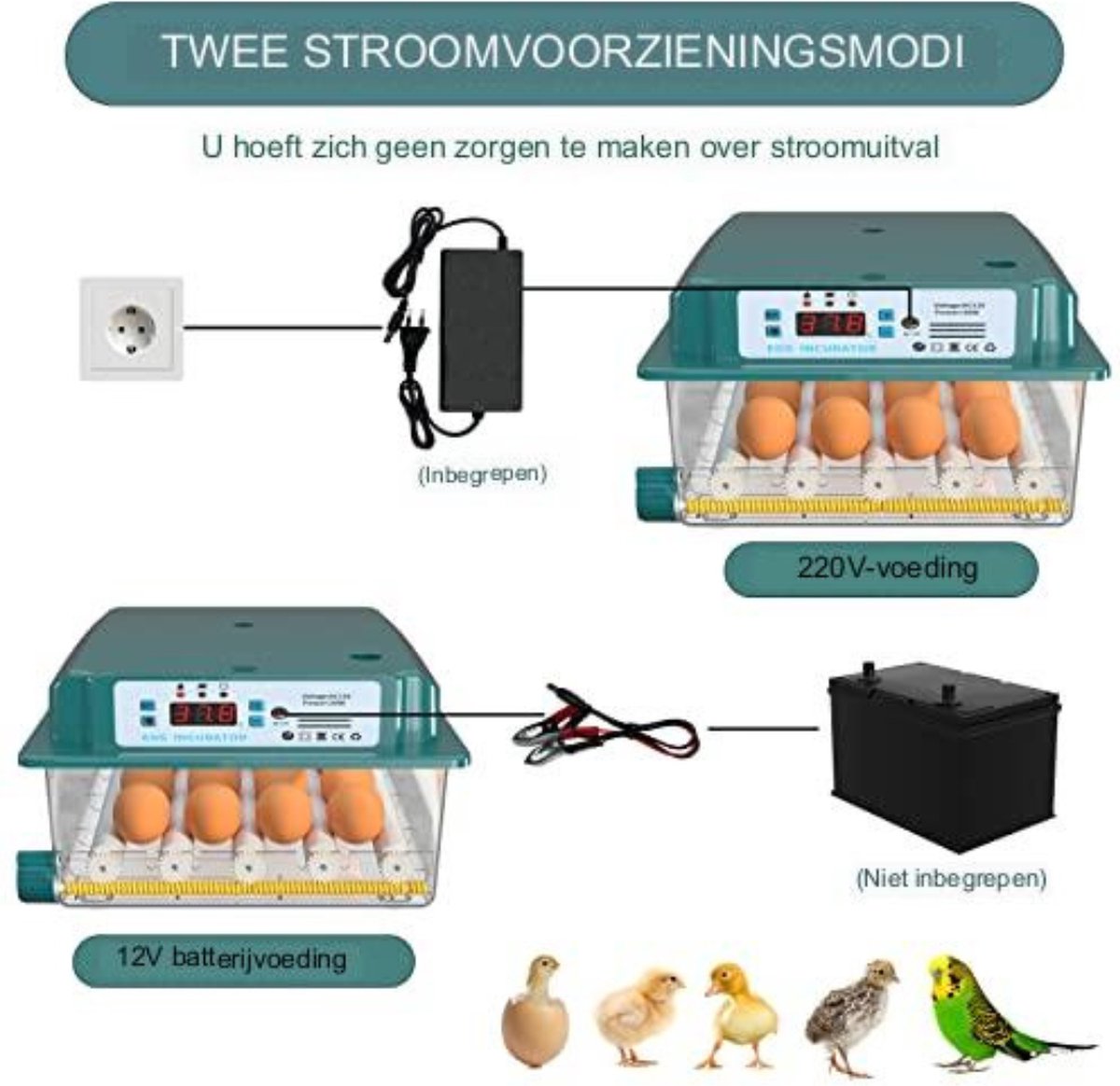 Broedmachine voor eieren - Broedmachine Automatisch - Incubator - Broedmachine Voor Kippen | bol.com