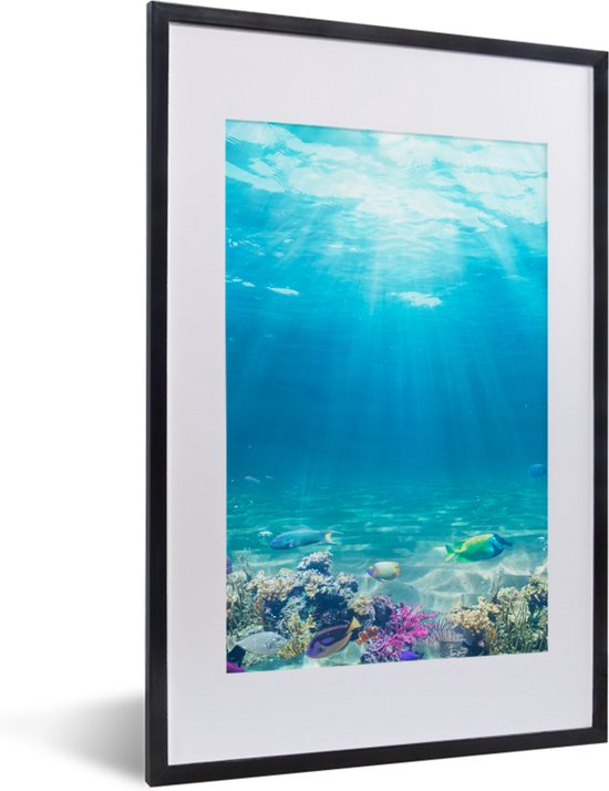 PosterMonkey - Poster - Poster in lijst - Fotolijst - Vissen ...