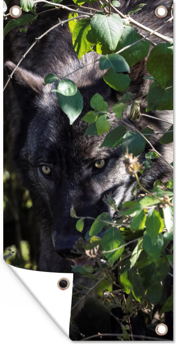 Affiche de clôture Loup caché entre les buissons - 100x200 cm - Toile de jardin | bol.com