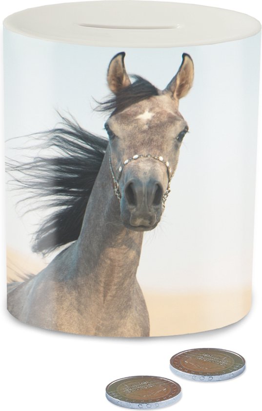 Spaarpot - Spaarblik - Paard - Zand - Woestijn - Spaarpotten ...