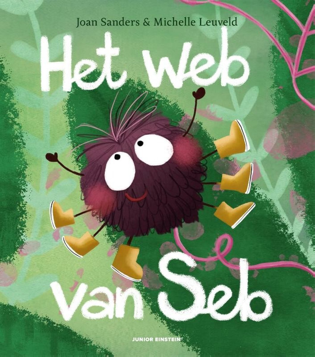 Het web van Seb, Joan Sanders | 9789493218543 | Boeken | bol