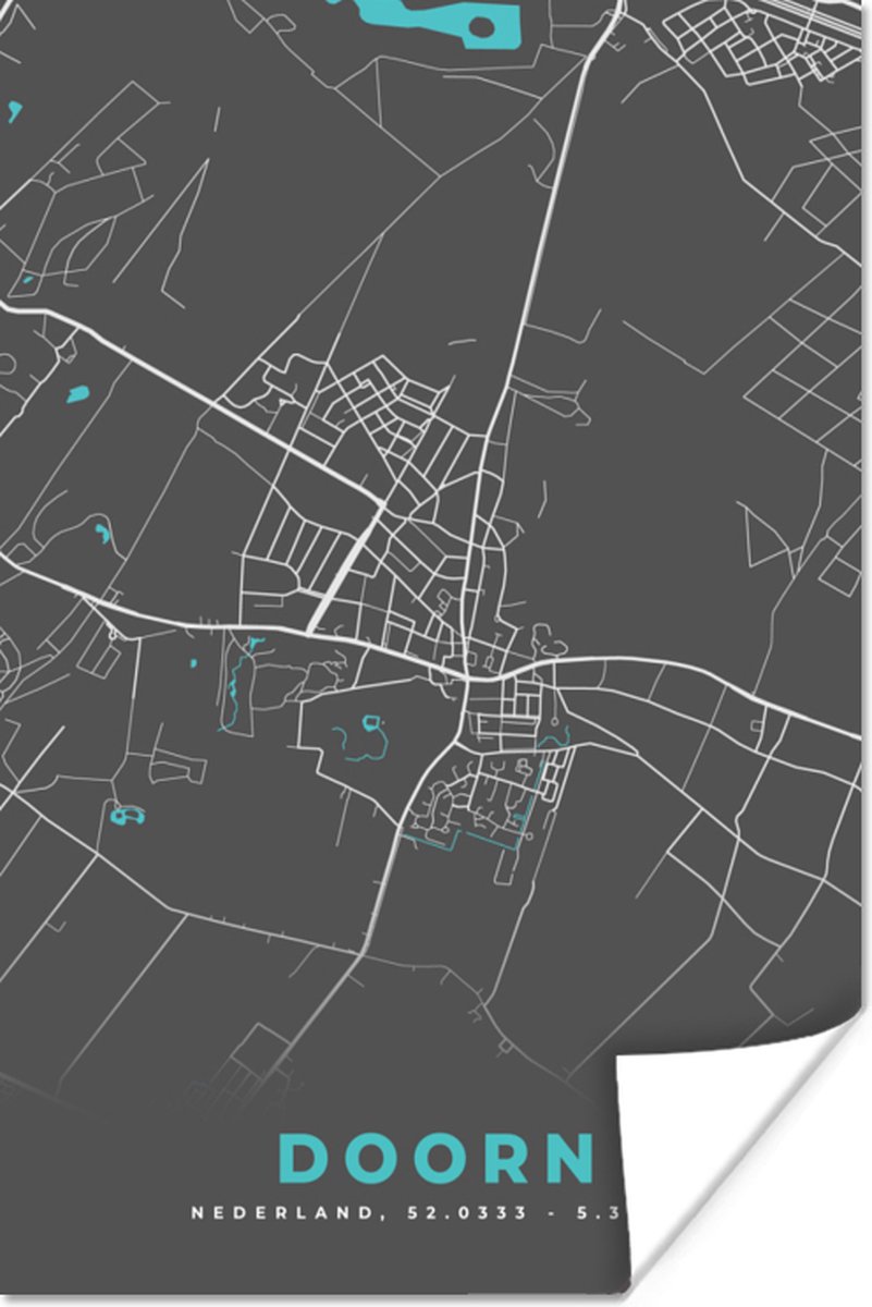 Poster Plattegrond - Kaart - Doorn - Stadskaart - 80x120 cm | bol.com