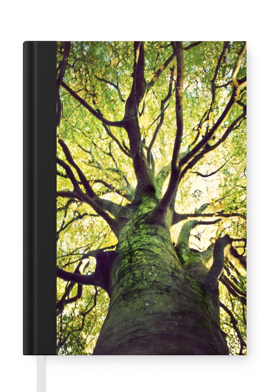 Carnet - Cahier d'écriture - Branches apaisantes d'un arbre vert ...