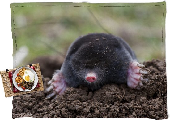 Picknickkleed - Buitenkleed - Dier - Mol - Tuin - Vloerkleed buiten ...