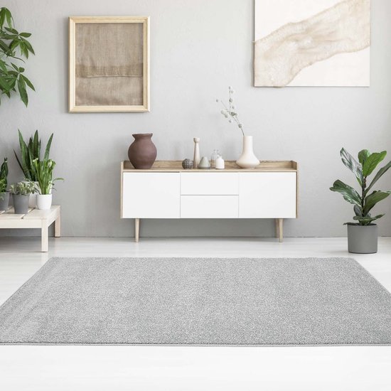 Tapijt Koho Spring Laagpolig Vloerkleed Grijs - 140x200- Modern ...