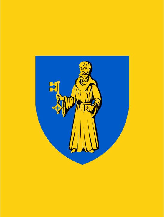Vlag Lille 150x225cm | bol