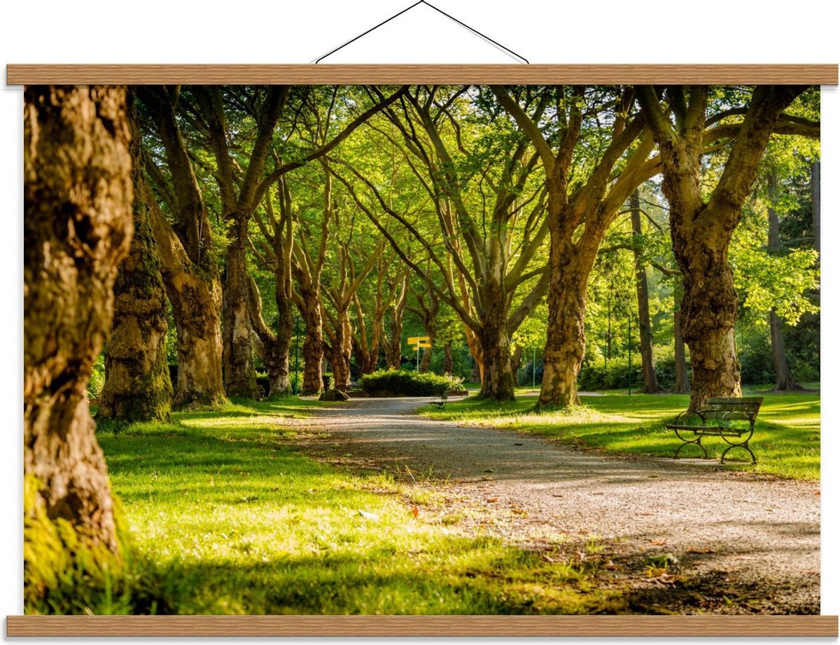 Schoolplaat – Bomen in Park - 90x60cm Foto op Textielposter ...
