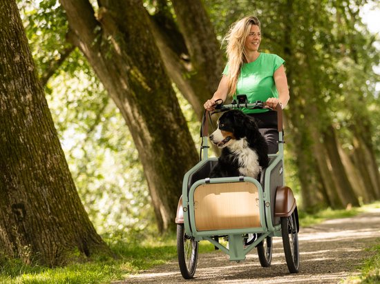 SociBike Compact elektrische bakfiets midmotor groen | bol