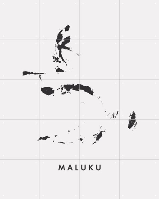 IXXI Maluku Island Map, Kunst in Kaart - 80 x 100 cm - Gratis ...