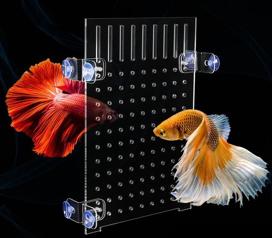 Aquarium scheidingswand - isolatie acryl rooster - vis tank divider ...