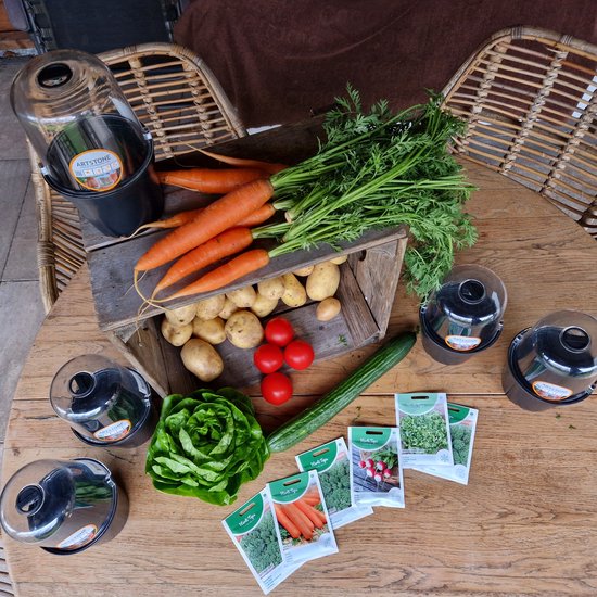Startset Moestuin - Kweekset met zaden - 5 stuks | bol