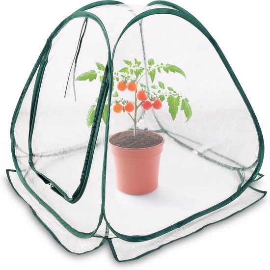 Mini broeikas voor planten - 60 x 60 cm - transparante pvc - eenvoudig ...