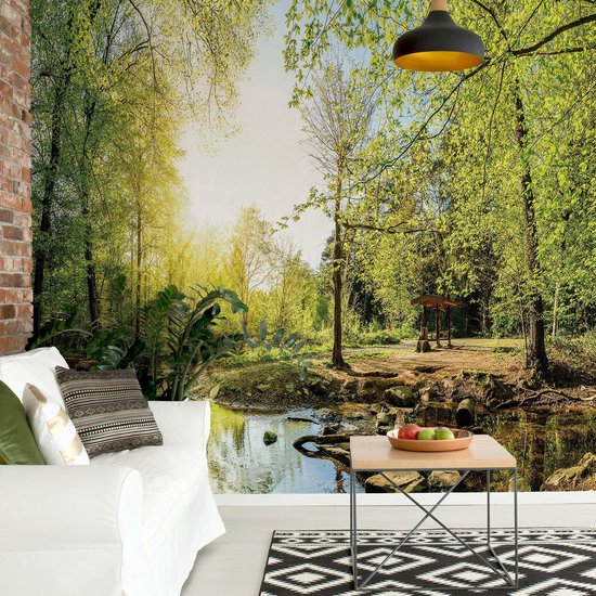 Fotobehangkoning - Fotobehang - Vliesbehang - Behang - Zonnig Bos met ...