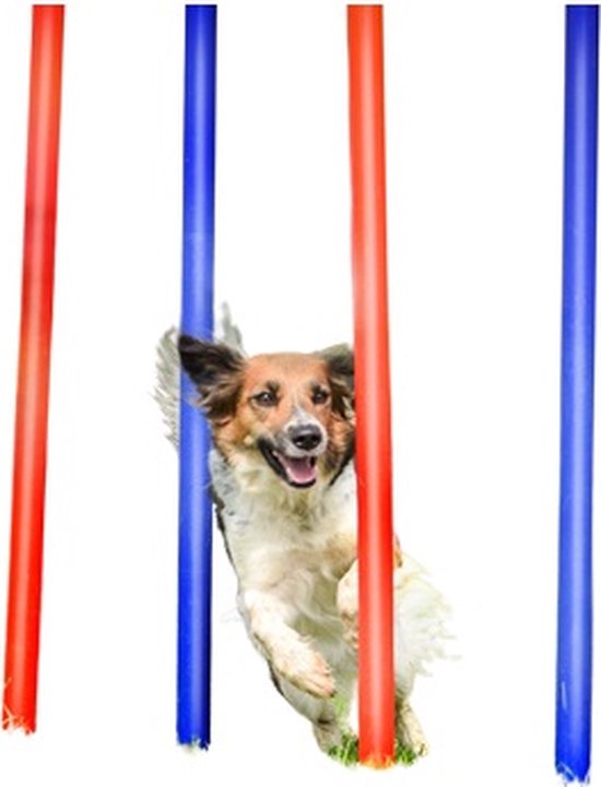 maxxpro Agility Slalom Set - Set Agility voor Honden - 60 x 3 CM ...