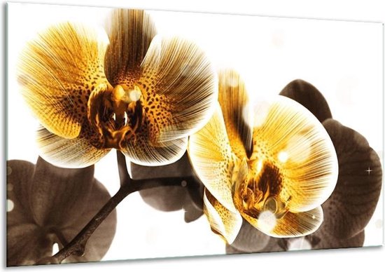 Glasschilderij Orchidee - Geel, Bruin, Wit - 120x70cm 1Luik - Foto Op ...
