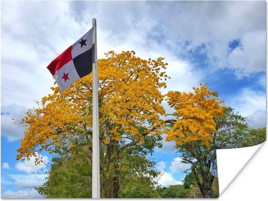 Arbre jaune en fleurs avec le drapeau du Panama Poster 40x30 cm - petit ...