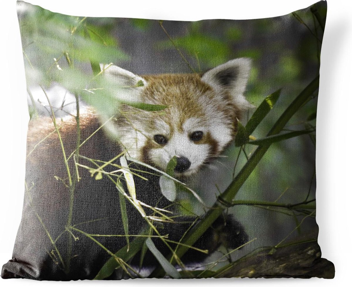 Buitenkussens - Tuin - Baby rode panda tussen de takken - 45x45 cm ...