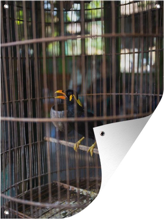 Tuin decoratie Een Beo zit in een kooi - 30x40 cm - Tuindoek | bol.com