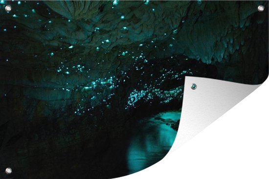 Tuinposters buiten De Waitomo grotten in Nieuw Zeeland - 90x60 cm ...