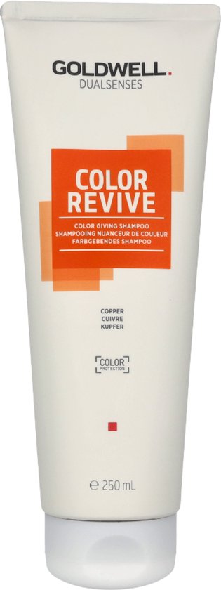 Goldwell - Dualsenses Color Revive Shampoo - 250ml | bol