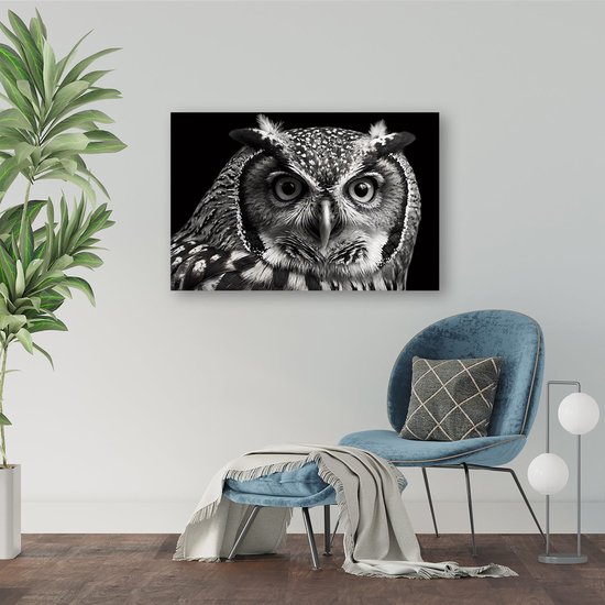 Zwart-wit uil close-up kunst - Uil muurdecoratie - Posters dieren ...