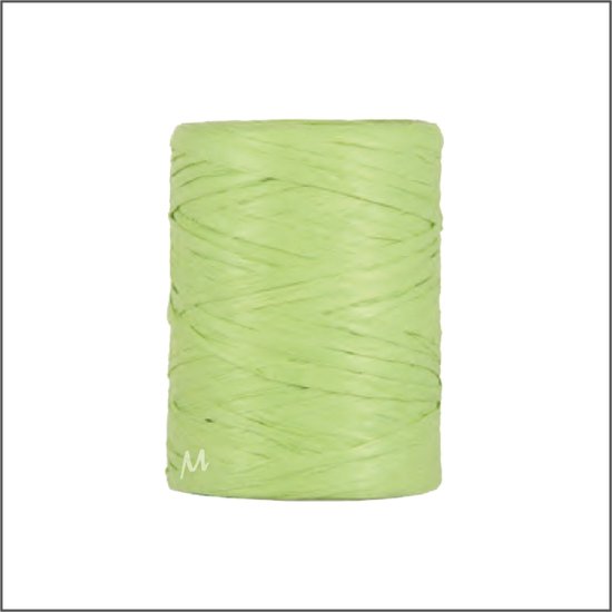 Luxe Cadeaulint - Raffia Lint - Paper Lint - Lime Groen - 100 meter ...
