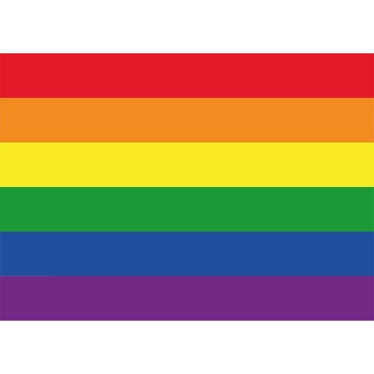 LHBT / Gay regenboog vlag 90 x 150 cm - Inclusief twee gratis regenboog stickers | bol.com