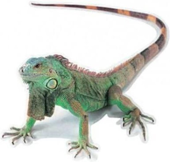 Auto sticker hagedis patroon | bol