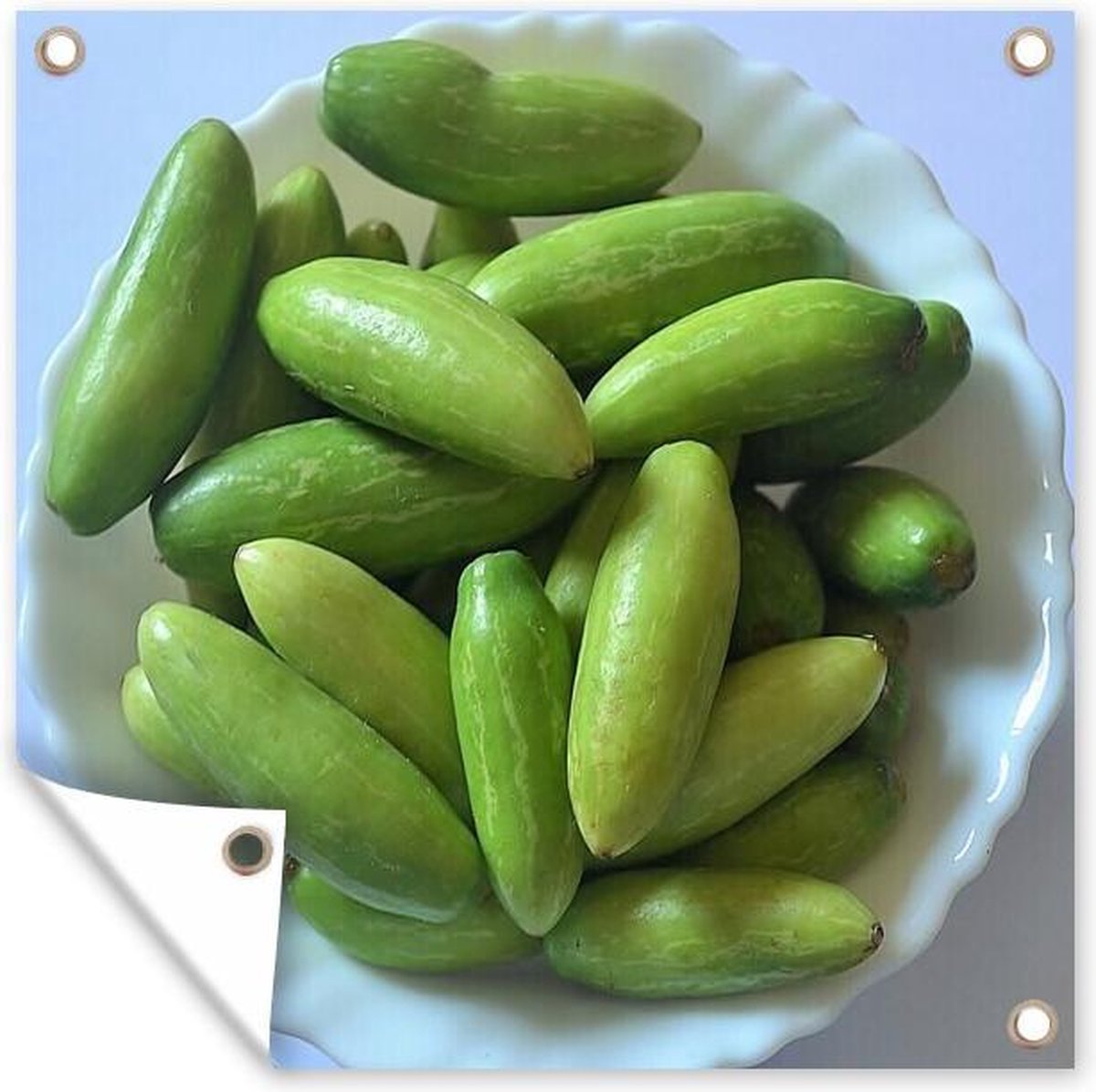 Tuindoek Close-up van een witte kom met tindola - 100x100 cm | bol.com