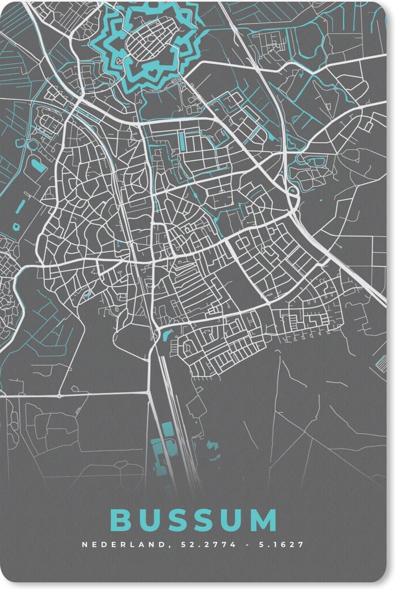 Stadskaart - Bussum - Grijs - Blauw - Plattegrond | bol.com