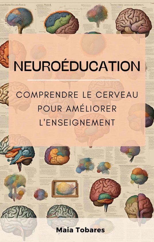 Neuroéducation : Comprendre Le Cerveau Pour Améliorer L'enseignement ...