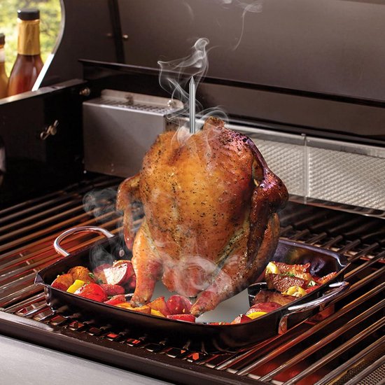 Stainless Steel Vertical Meat Spit Stand for Barbecue Grill - Great for ...