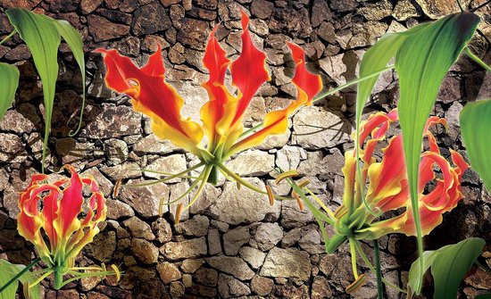 Fotobehang - Vlies Behang - Rode Bloemen op de Stenen - 368 x 254 cm | bol