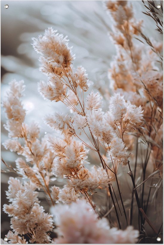 Bloemen posters - Planten poster - Tuinposters Lucht - Poster buiten ...