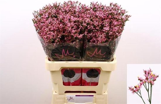 DutchFlowers - Boeket - 25x Limonium anouchka diamond 60cm | bol