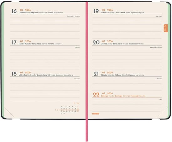 Jaarplanner 2026 Weekoverzicht Kruisweergave Kalender met Elastiek en ...