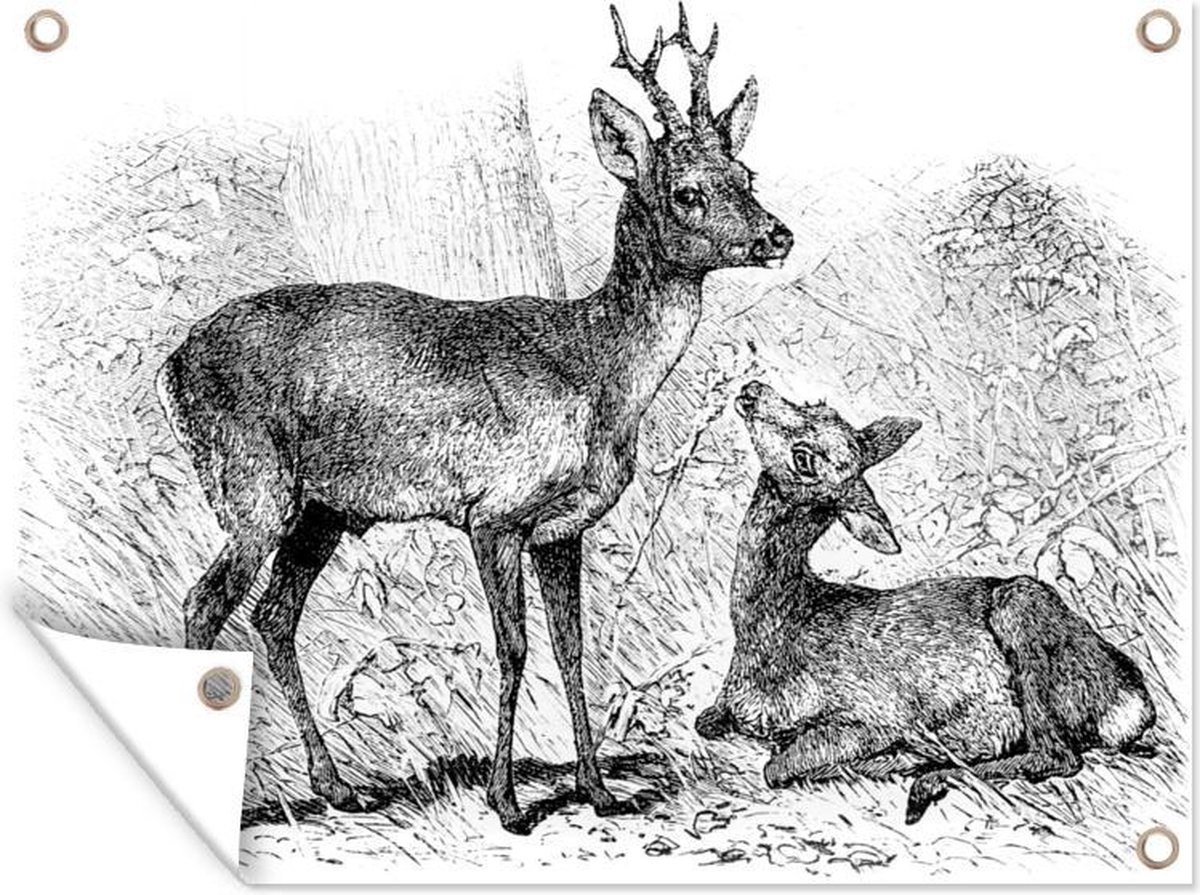 Tuin decoratie tekening van twee reeën - 40x30 cm - Tuindoek | bol.com